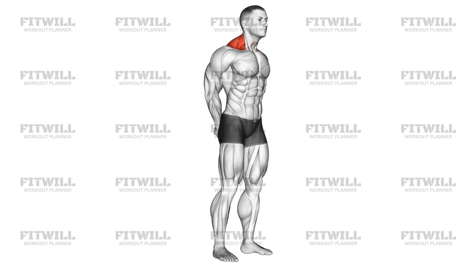 Neck Protraction Stretch: Exercise Guide, Techniques, Benefits, How to ...