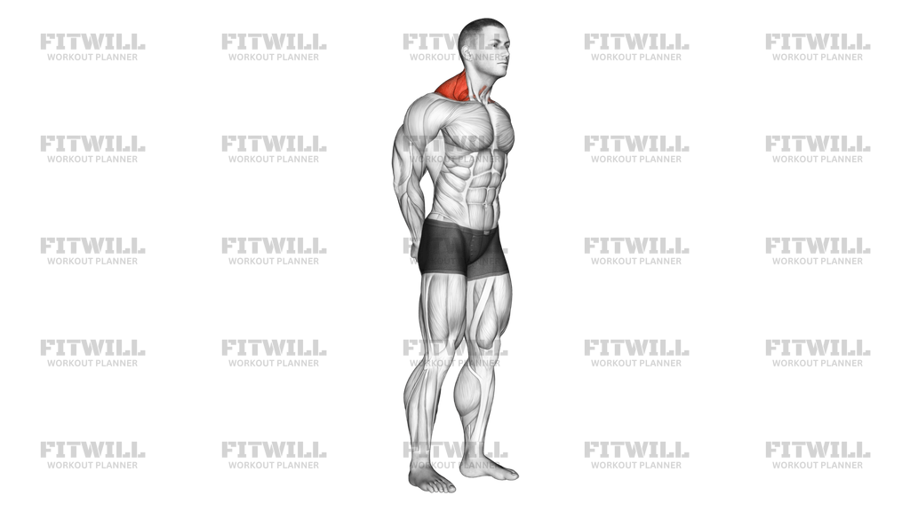 Estiramiento De Protracción Del Cuello: Guía de Ejercicios, Técnicas ...