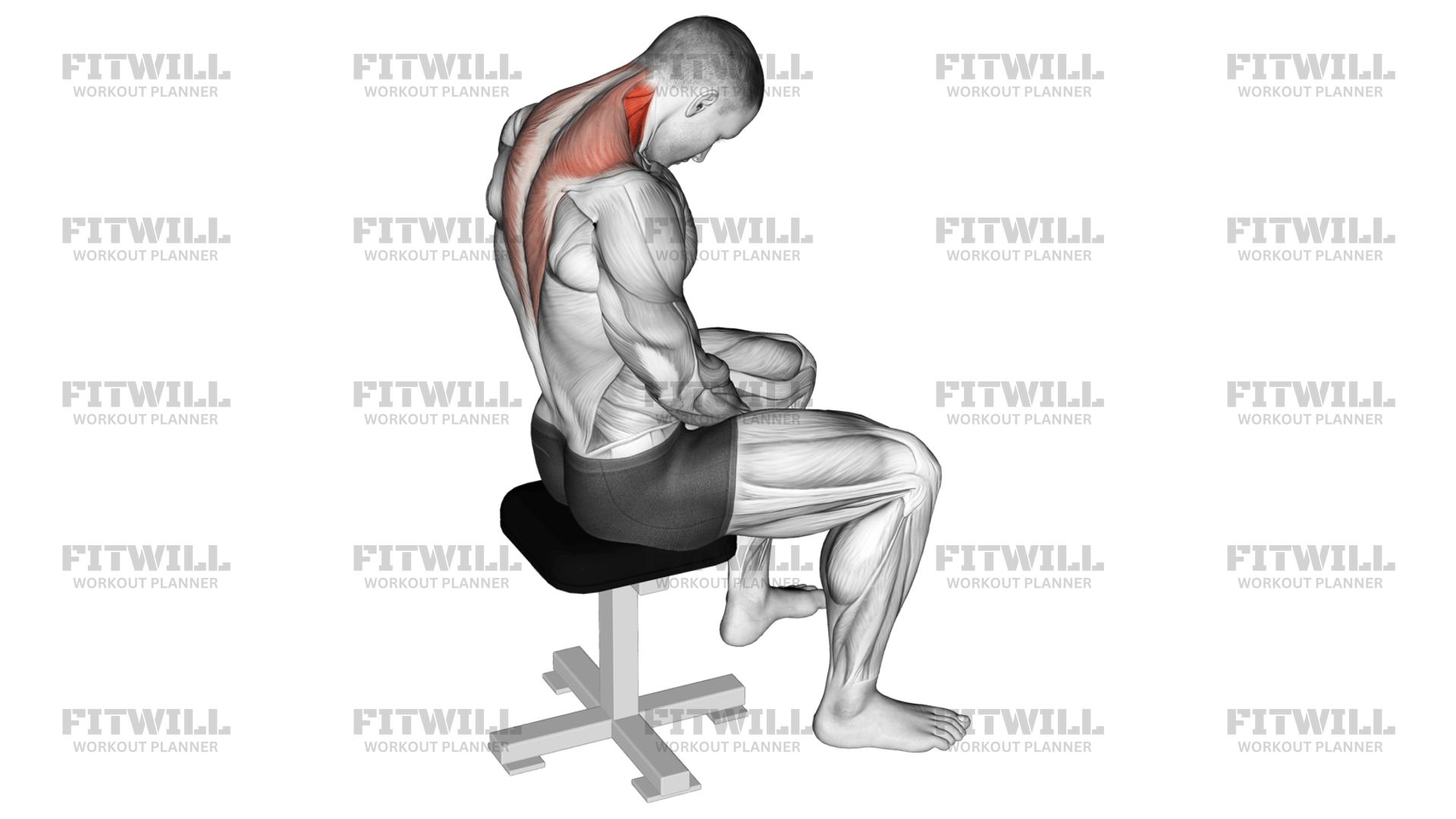 Sitting Neck Flexion Stretch: Guide, Techniques, Benefits, How to ...