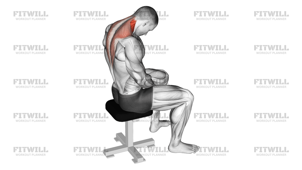Sitting Neck Flexion Stretch: Guide, Techniques, Benefits, How to ...