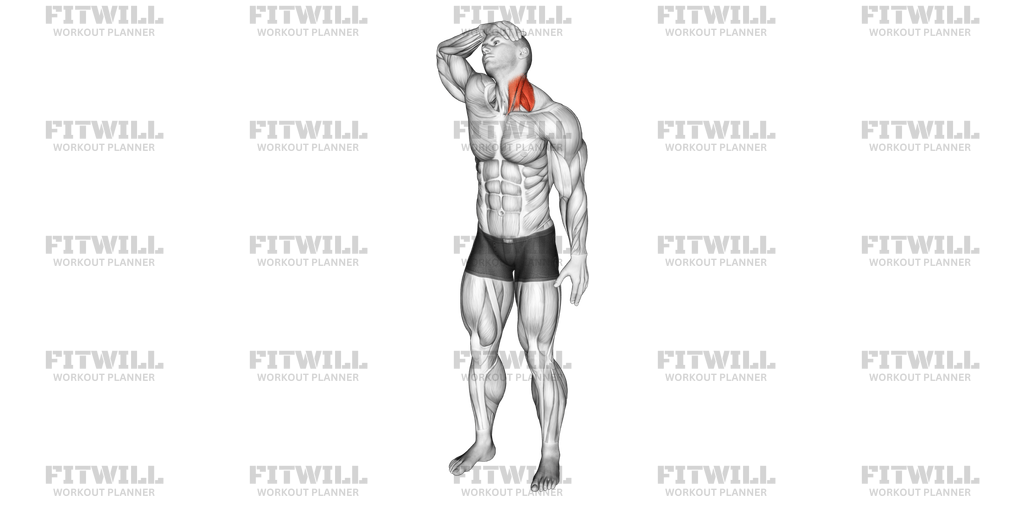 Neck Flexor And Rotational Stretch: Exercise Guide, Techniques ...