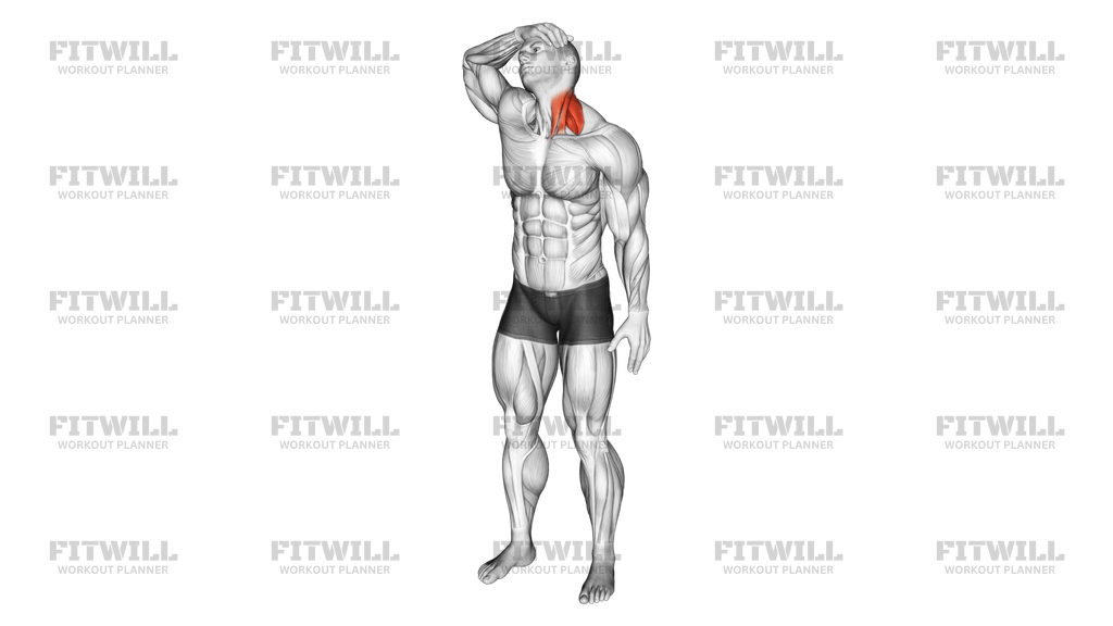 Neck Flexor And Rotational Stretch: Exercise Guide, Techniques ...