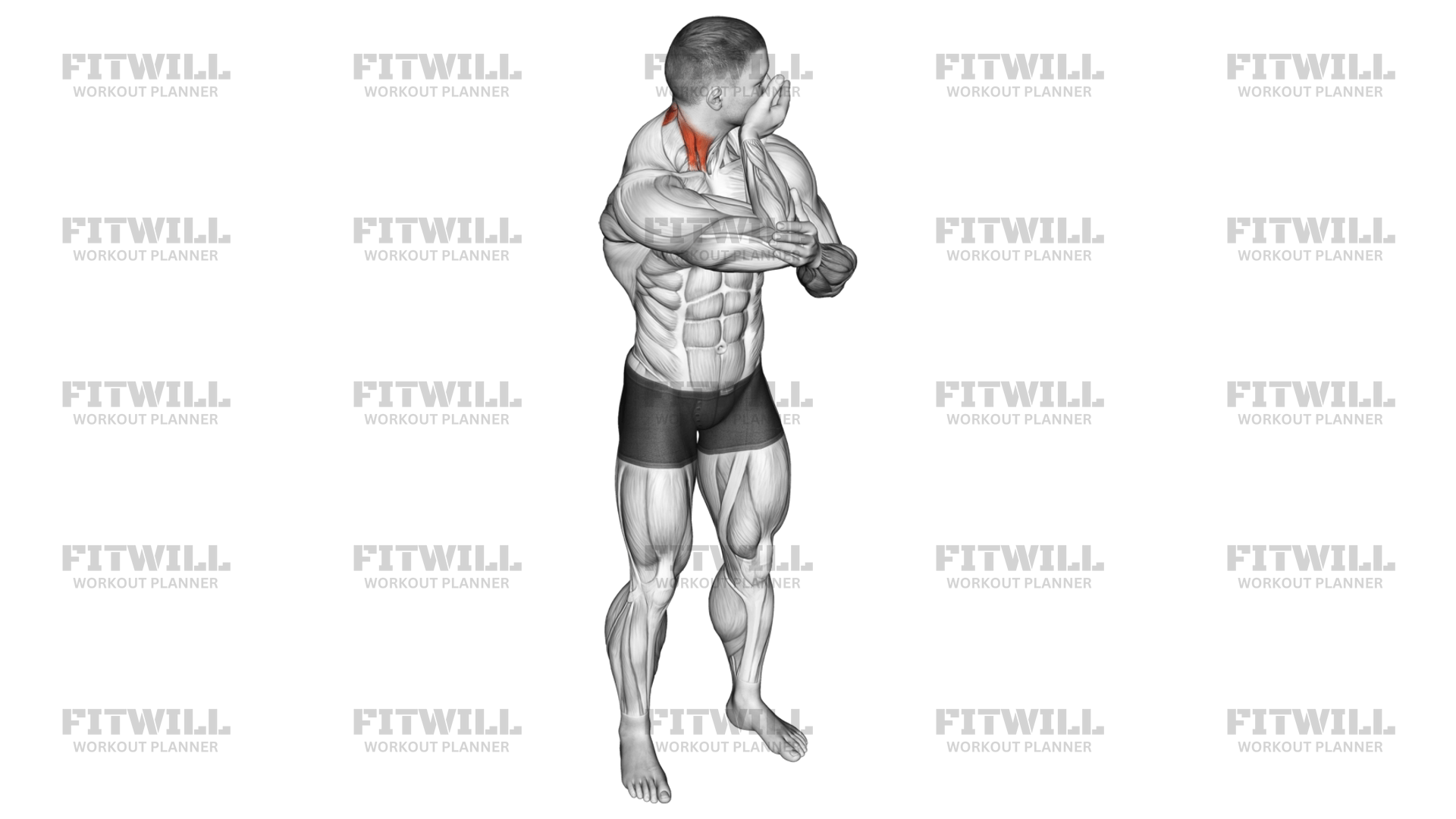Assisted Rotating Neck Stretch: Exercise Guide, Techniques, Benefits ...