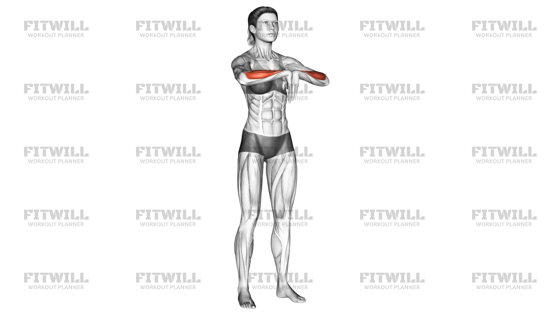 Wrist Extensor Stretch: Exercise Guide, Video, Techniques, Benefits ... Wrist Extensor Stretch: Exercise Guide, Video, Techniques, Benefits ...