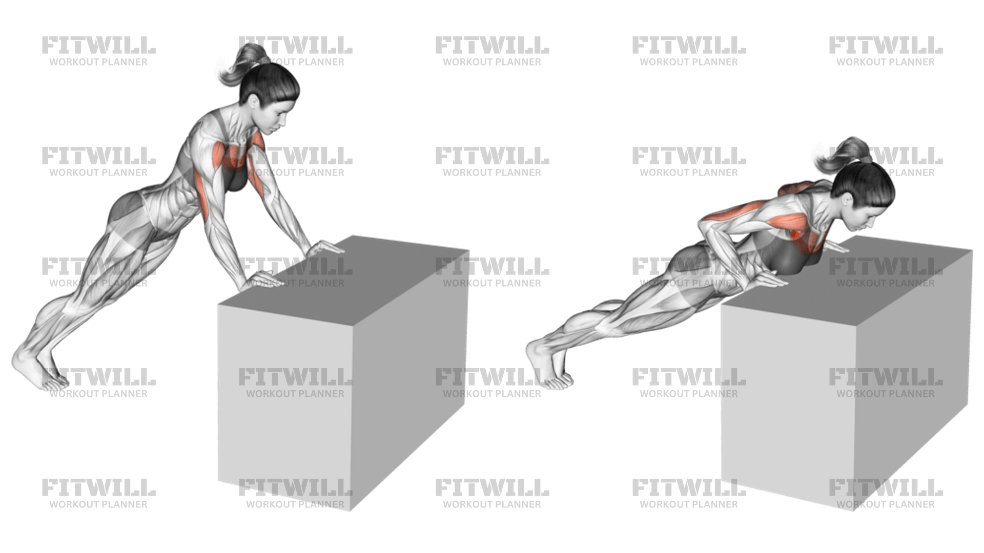 Pressa Su Panca Inclinata: Guida all'Esercizio, Video, Tecniche ...