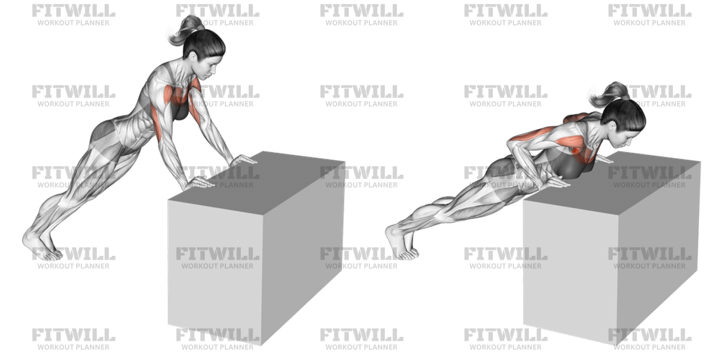 Incline Push Press: Exercise Guide, Video, Techniques, Benefits, How to ...
