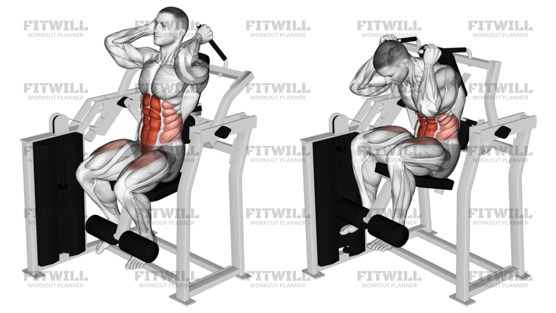 Crunch Total Abdominal Con Palanca: Guía de Ejercicios, Video, Técnicas ...