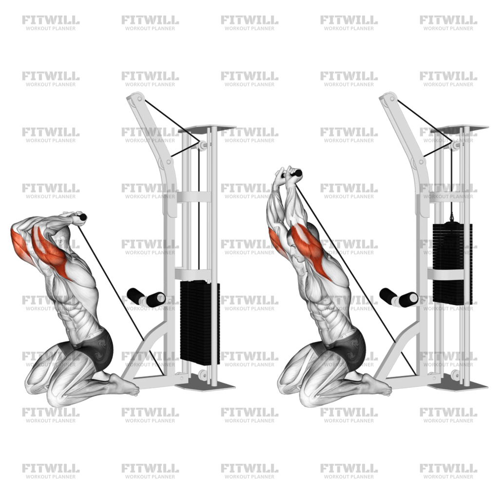 Cable Kneeling Triceps Extension (VERSION 2): Exercise Guide, Video ...
