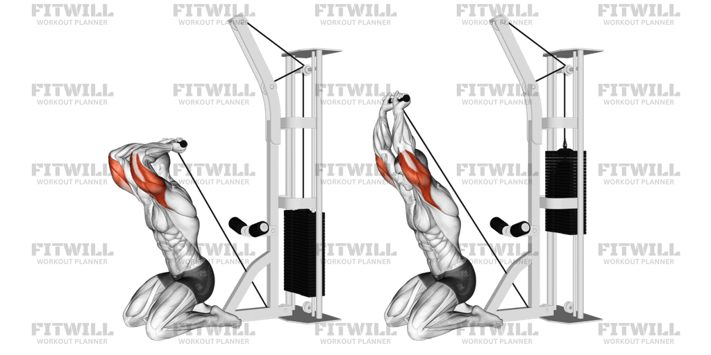Cable Kneeling Triceps Extension (VERSION 2): Exercise Guide, Video ...