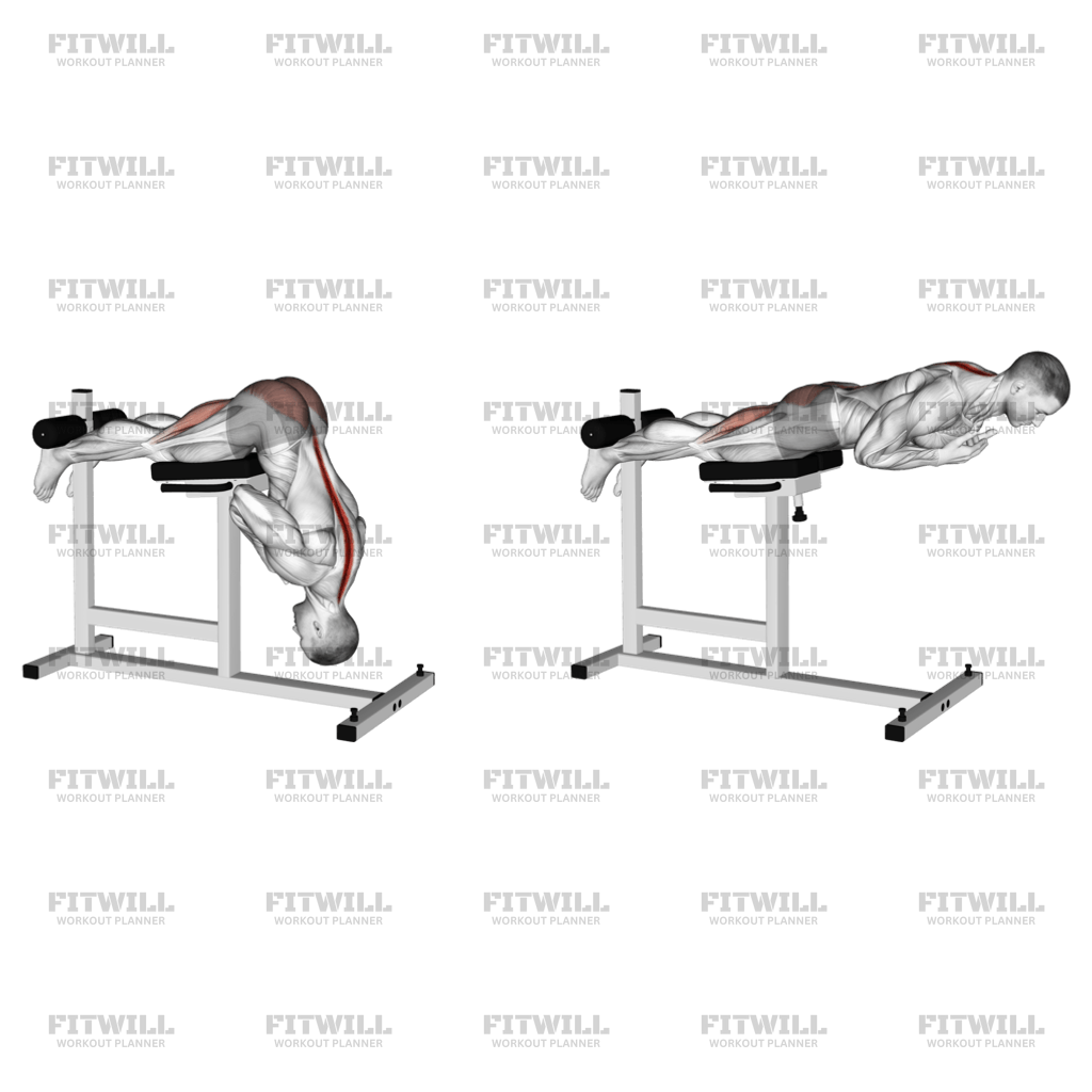 Hyperextension (VERSION 2): Guide, Techniques, Benefits, How to ...