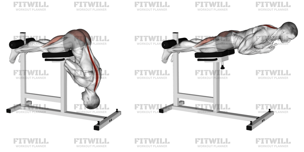 Hyperextension (VERSION 2): Exercise Guide, Video, Techniques, Benefits ...