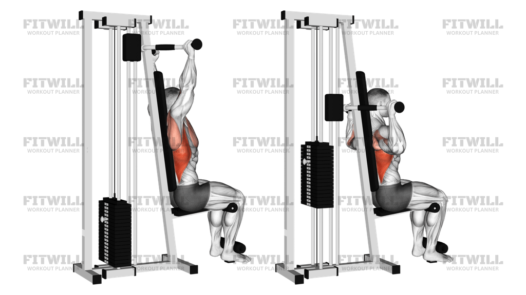 Lever Cable Rear Pulldown: Exercise Guide, Techniques, Benefits, How to, Muscles Worked, Tips ...