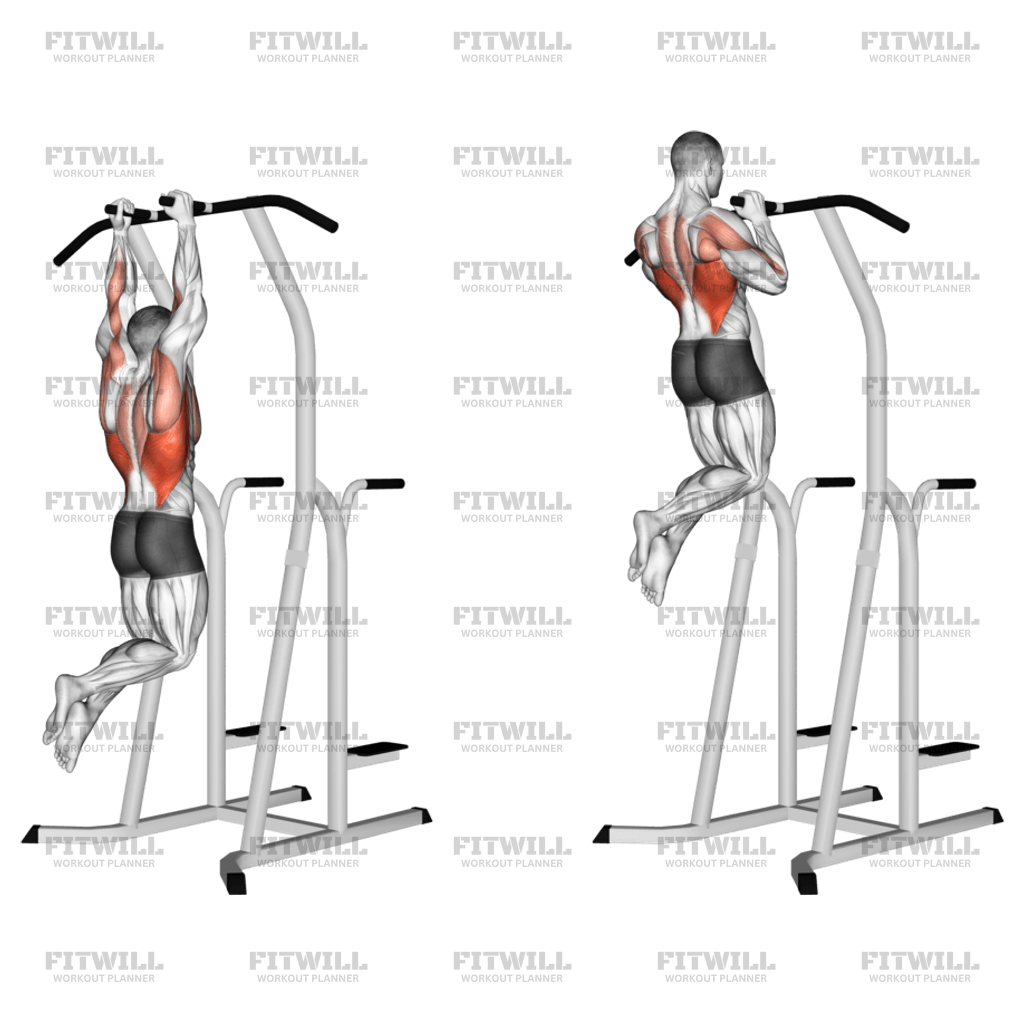 Hammer Grip Pull-up On Dip Cage: Exercise Guide, Video, Techniques ...
