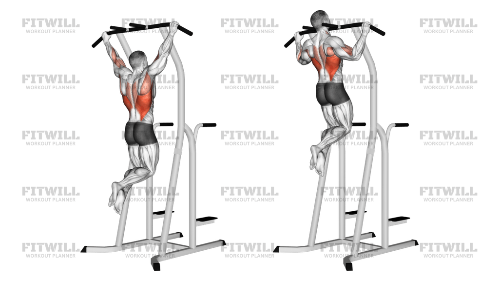 Wide Grip Pull-Up On Dip Cage: Exercise Guide, Techniques, Benefits ...