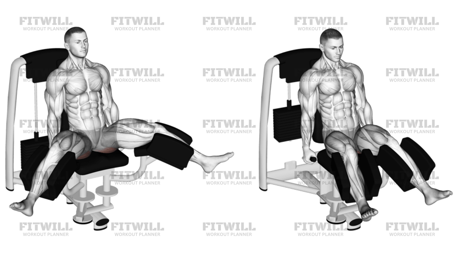 Lever Seated Hip Adduction (VERSION 2): Exercise Guide, Techniques ...