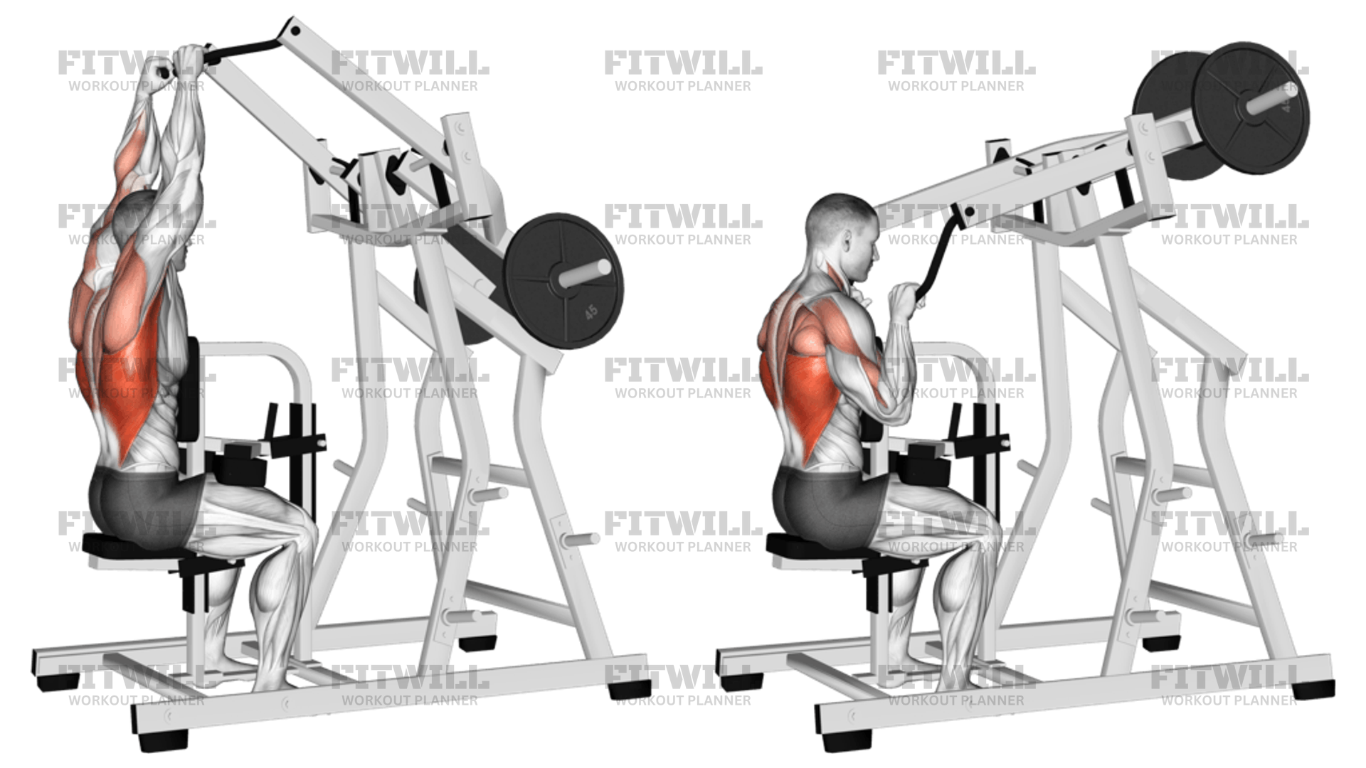 Lever Lateral Pulldown (plate Loaded): Exercise Guide, Video ...