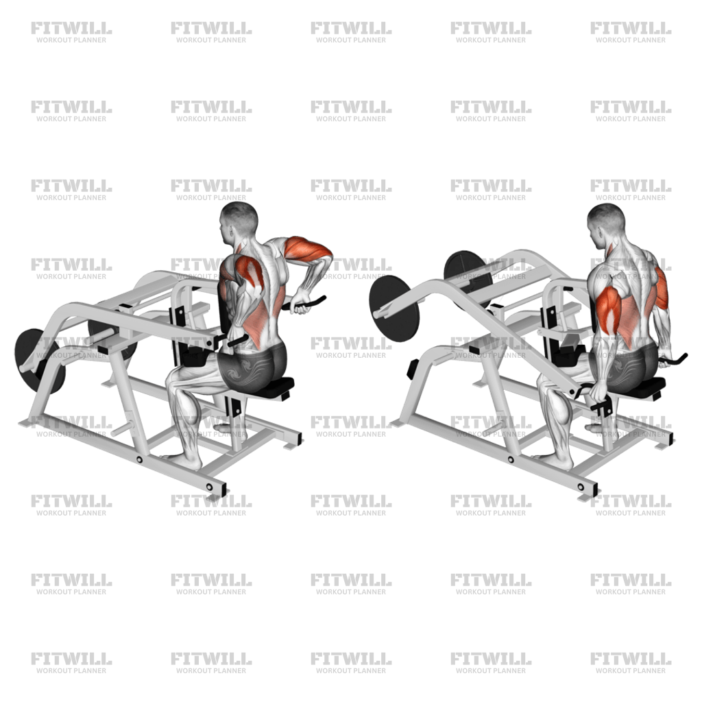 Fondos Para Tríceps En Palanca (con Peso): Video de Ejercicio | Fitwill