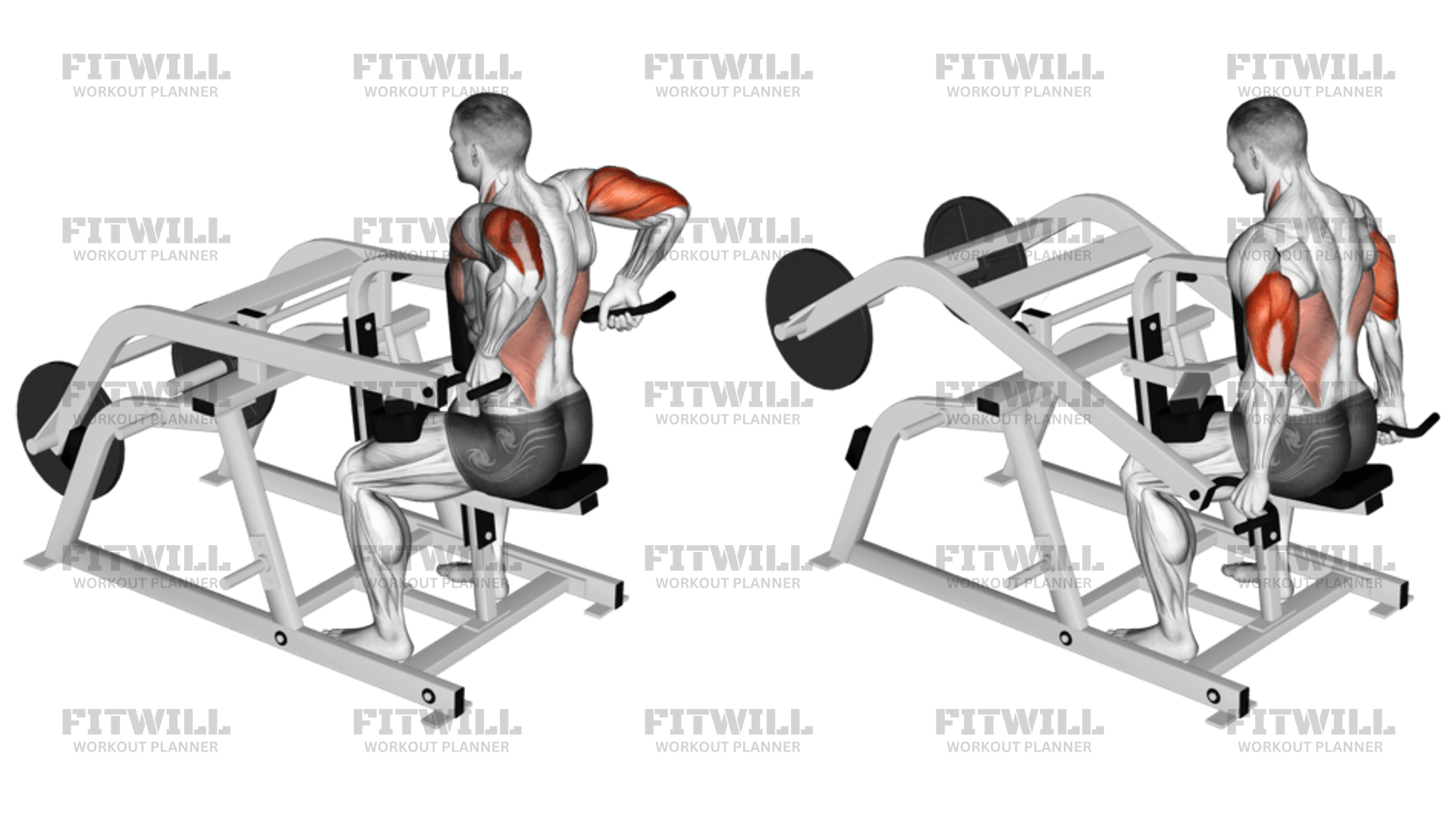 Lever Triceps Dip (plate Loaded): Exercise Guide, Video, Techniques ...