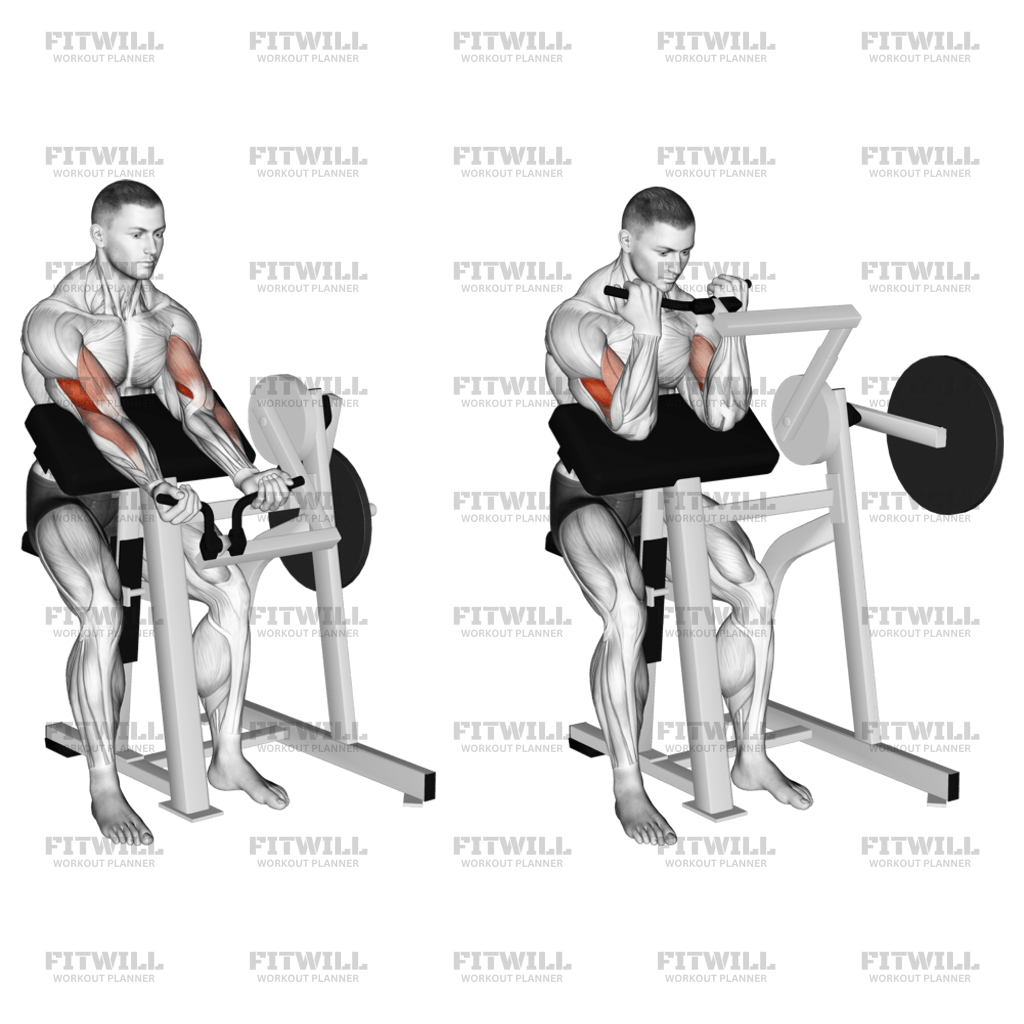 Ultimate Upper Arm Workout: Lever and Dumbbell Routine for Biceps and ...