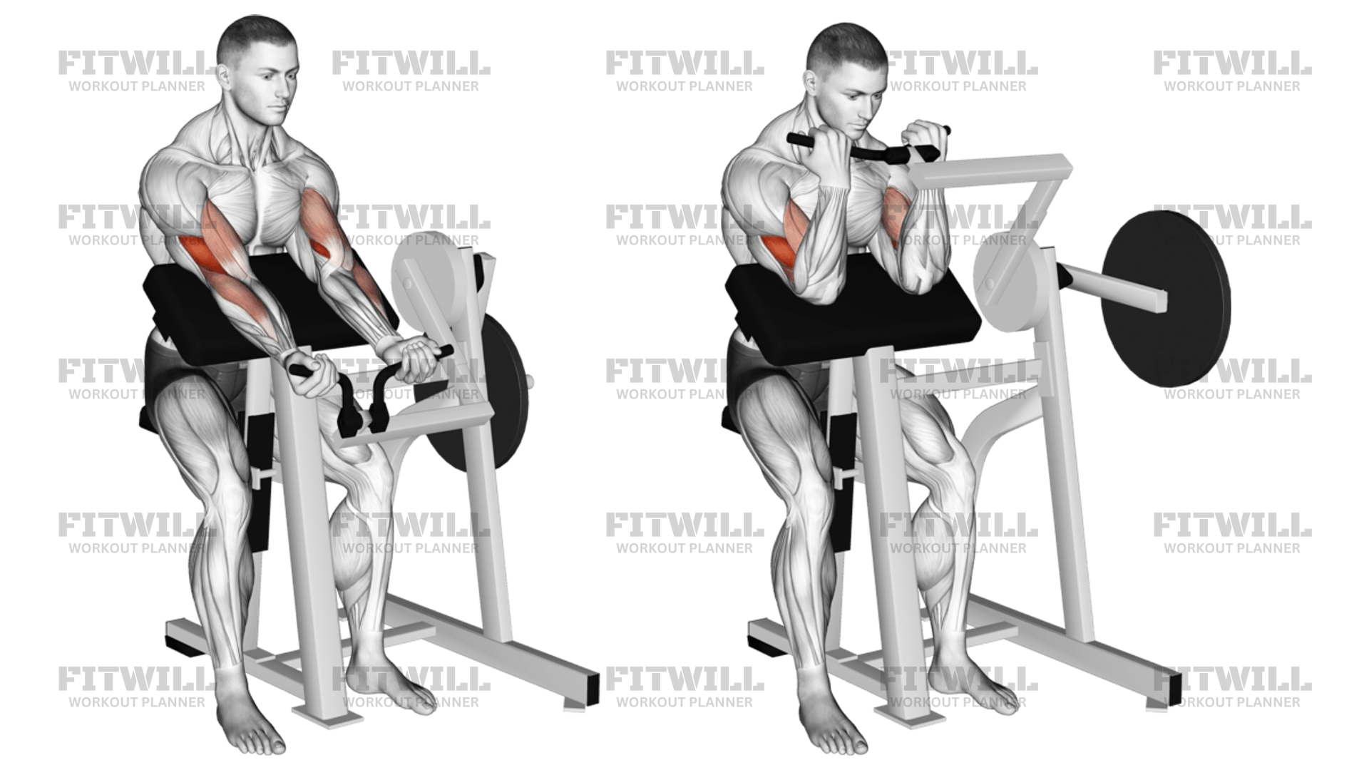 Ultimate Upper Arm Workout: Lever and Dumbbell Routine for Biceps and ...