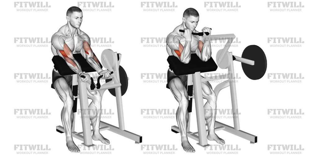 Ultimate Upper Arm Workout: Lever and Dumbbell Routine for Biceps and ...