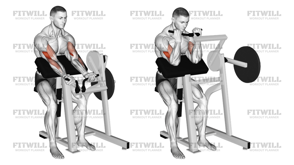 Ultimate Upper Arm Workout: Lever and Dumbbell Routine for Biceps and ...