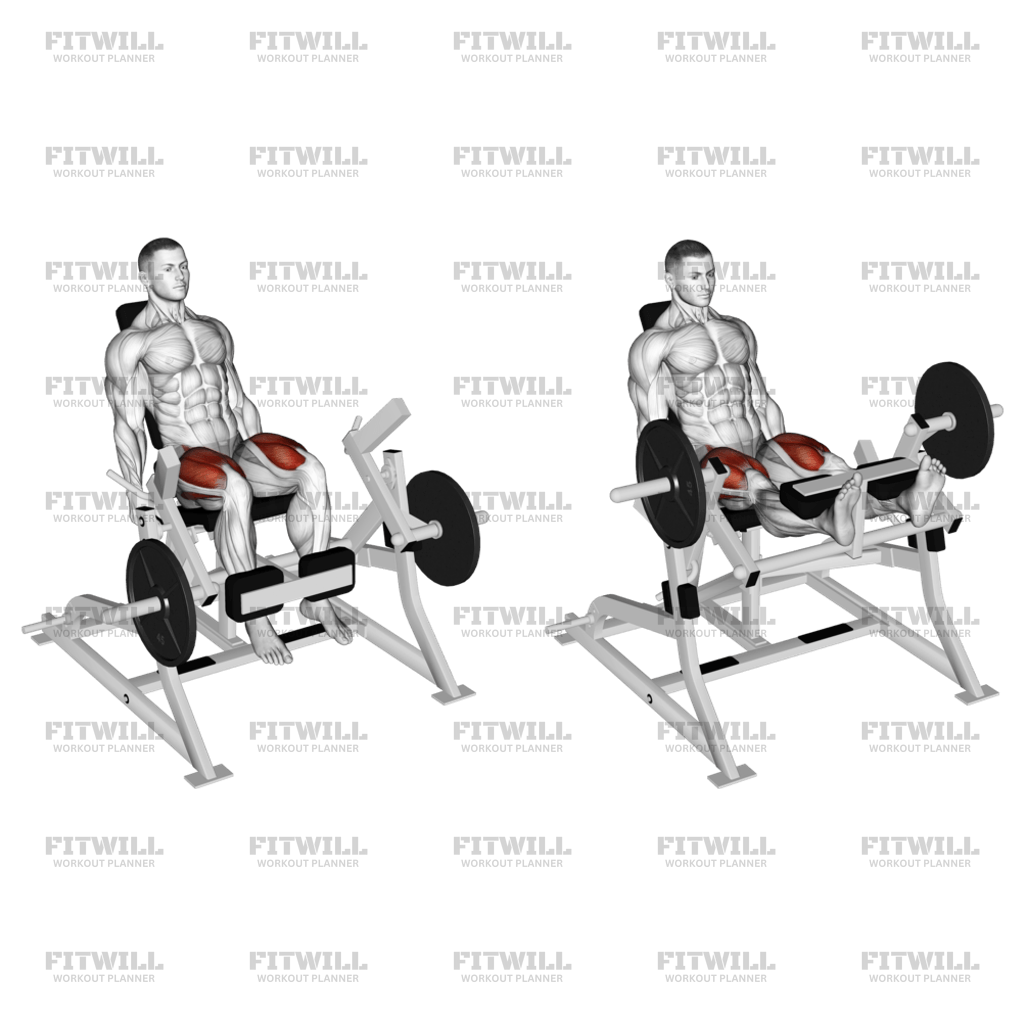 Lever Leg Extension (plate Loaded): Exercise Guide, Techniques ...