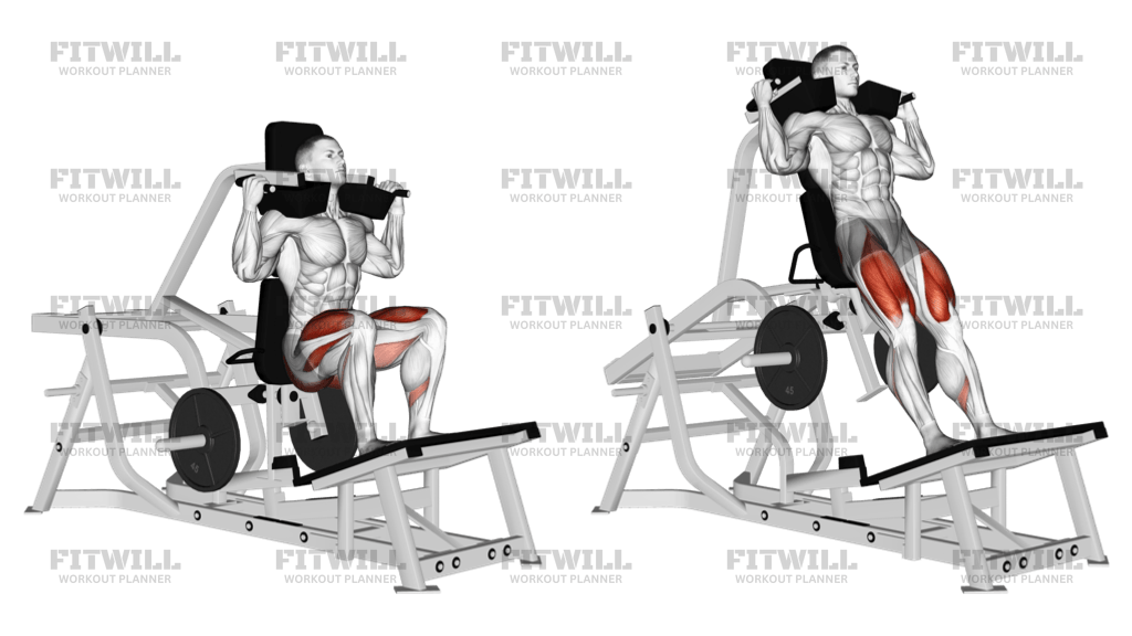 Complete Leg Day with Leverage Machine Exercises: Build Strength and ...