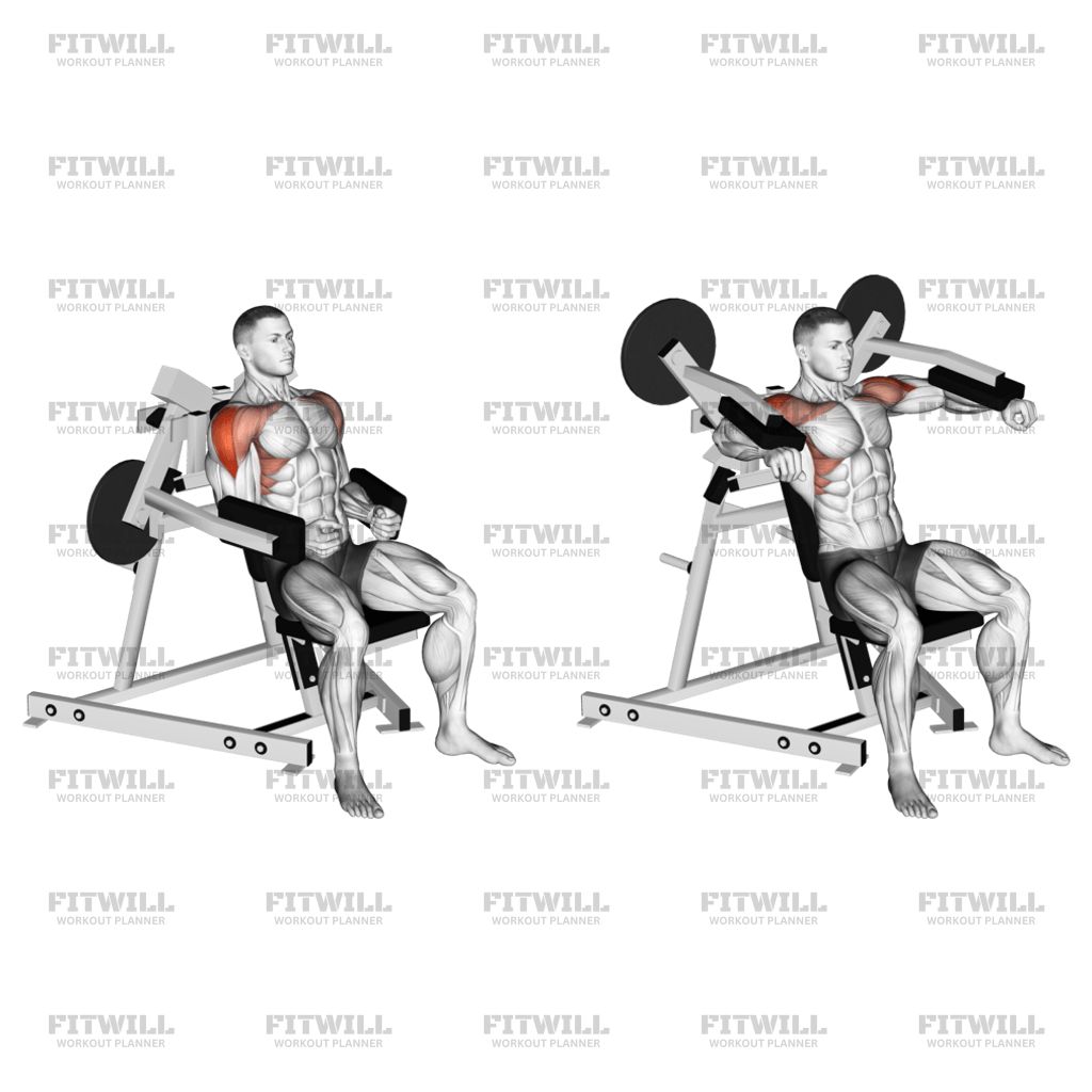 Lever Lateral Raise Plate Loaded: Exercise Video | Fitwill