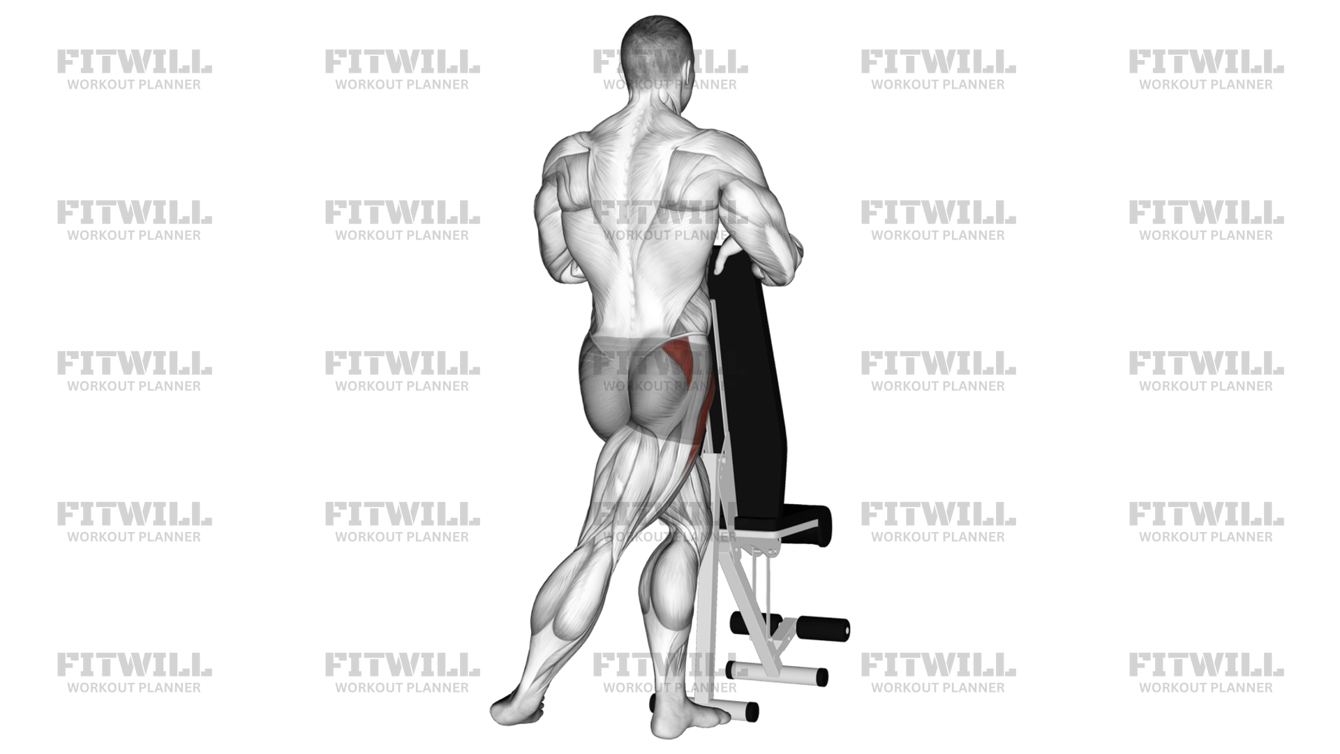 Standing Leg Under Abductor Stretch: Exercise Guide, Techniques, Benefits, How to, Muscles ...