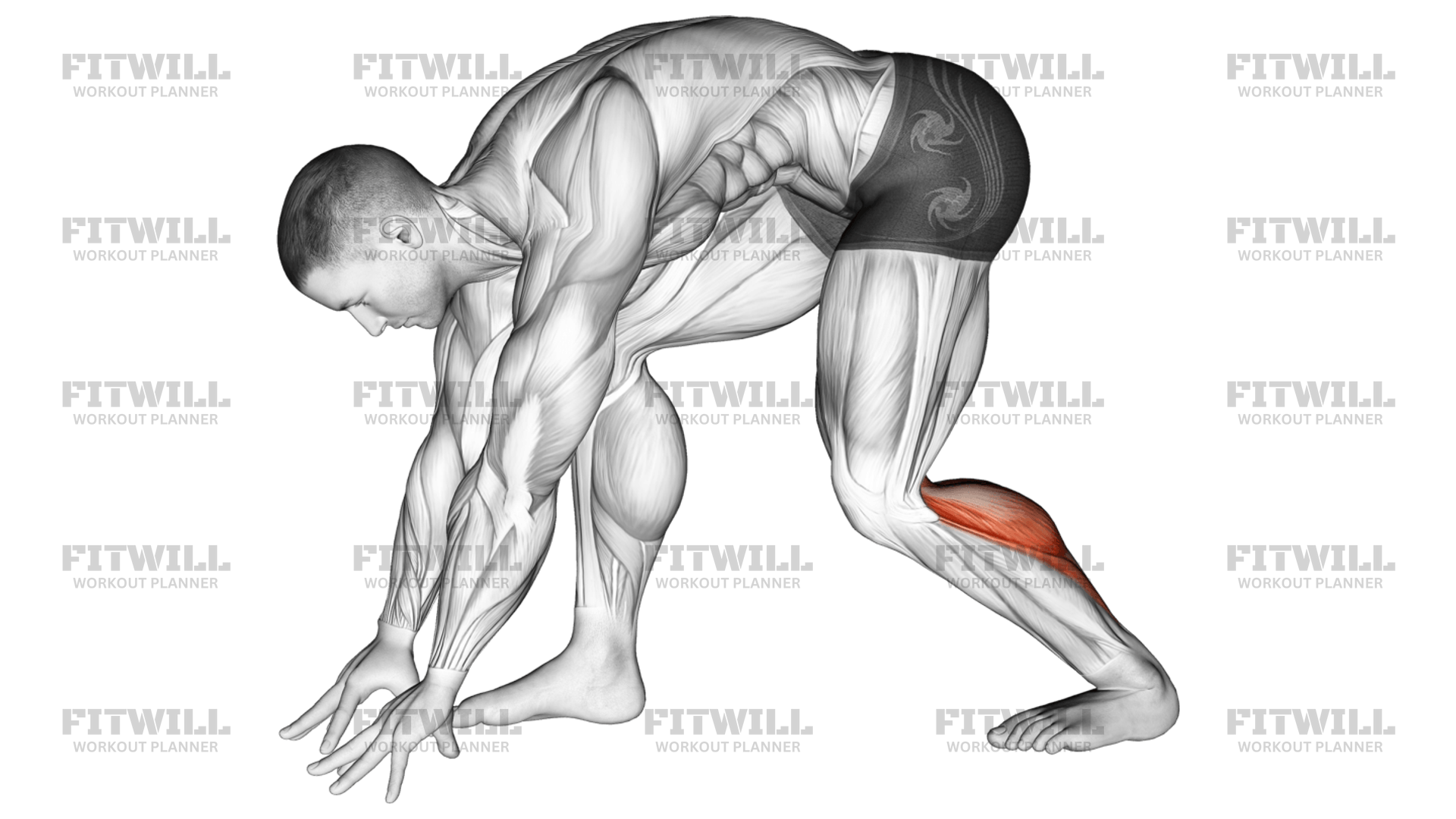 Crouching Heel Back Achilles Stretch: Exercise Guide, Techniques ...