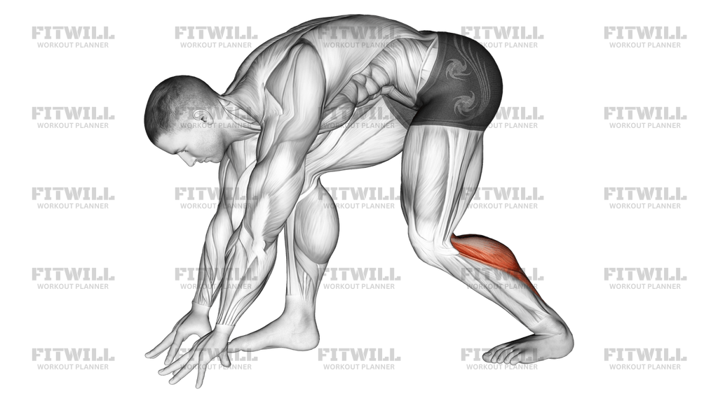 Crouching Heel Back Achilles Stretch: Exercise Guide, Techniques ...