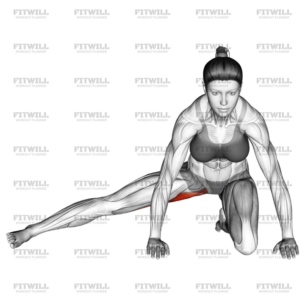 Kneeling Leg Out Adductor Stretch: Exercise Guide, Techniques, Benefits ...