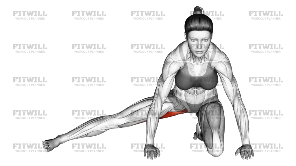 Kneeling Leg Out Adductor Stretch: Exercise Guide, Techniques, Benefits, How to, Muscles Worked ...