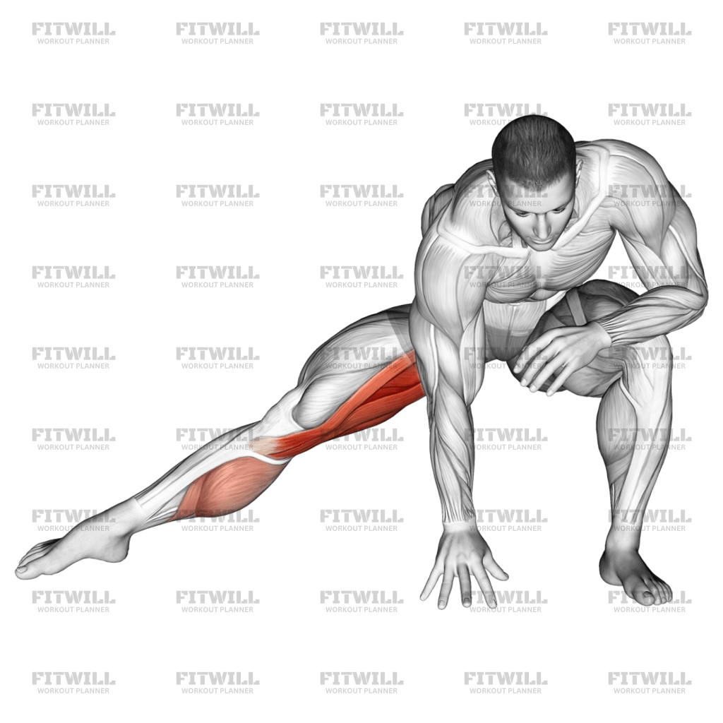 Standing Bent Knee Hip Adductor Stretch: Exercise Guide, Techniques ...