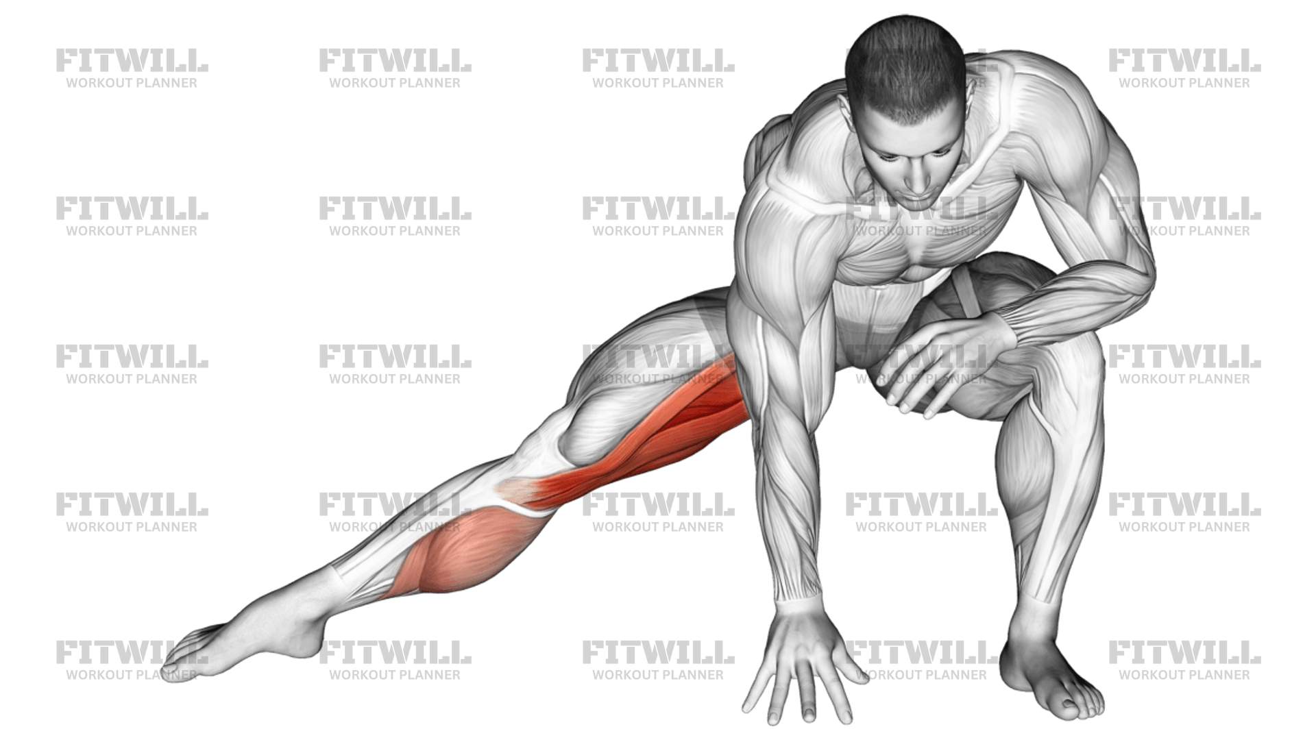 Standing Bent Knee Hip Adductor Stretch: Exercise Guide, Techniques ...