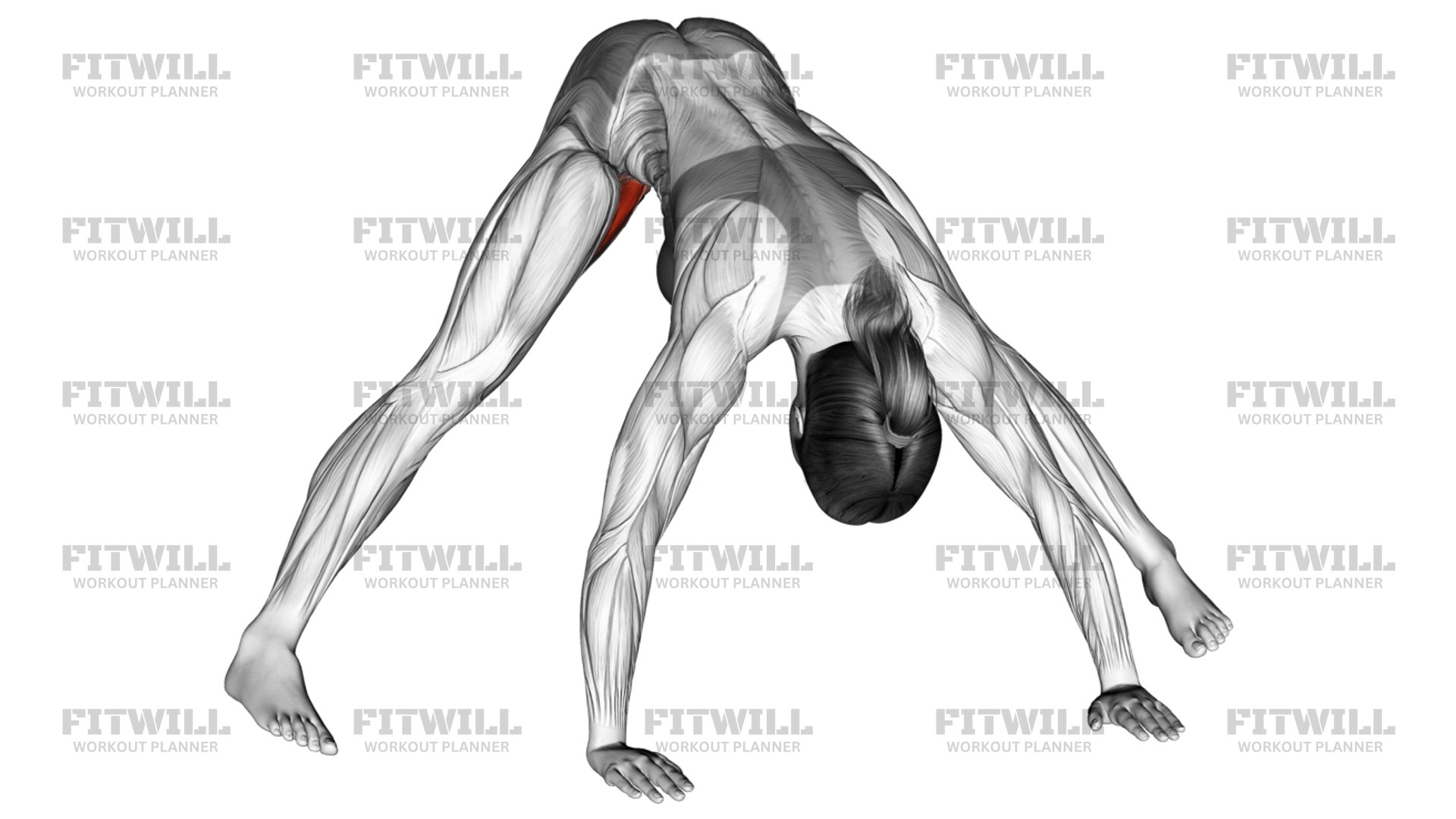 Standing Wide Leg Adductor Stretch: Exercise Guide, Techniques ...