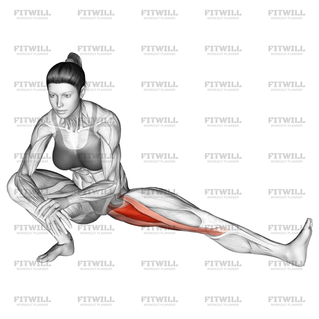 Abduction Of One Leg Flexion Stretch: Exercise Guide, Video, Techniques ...