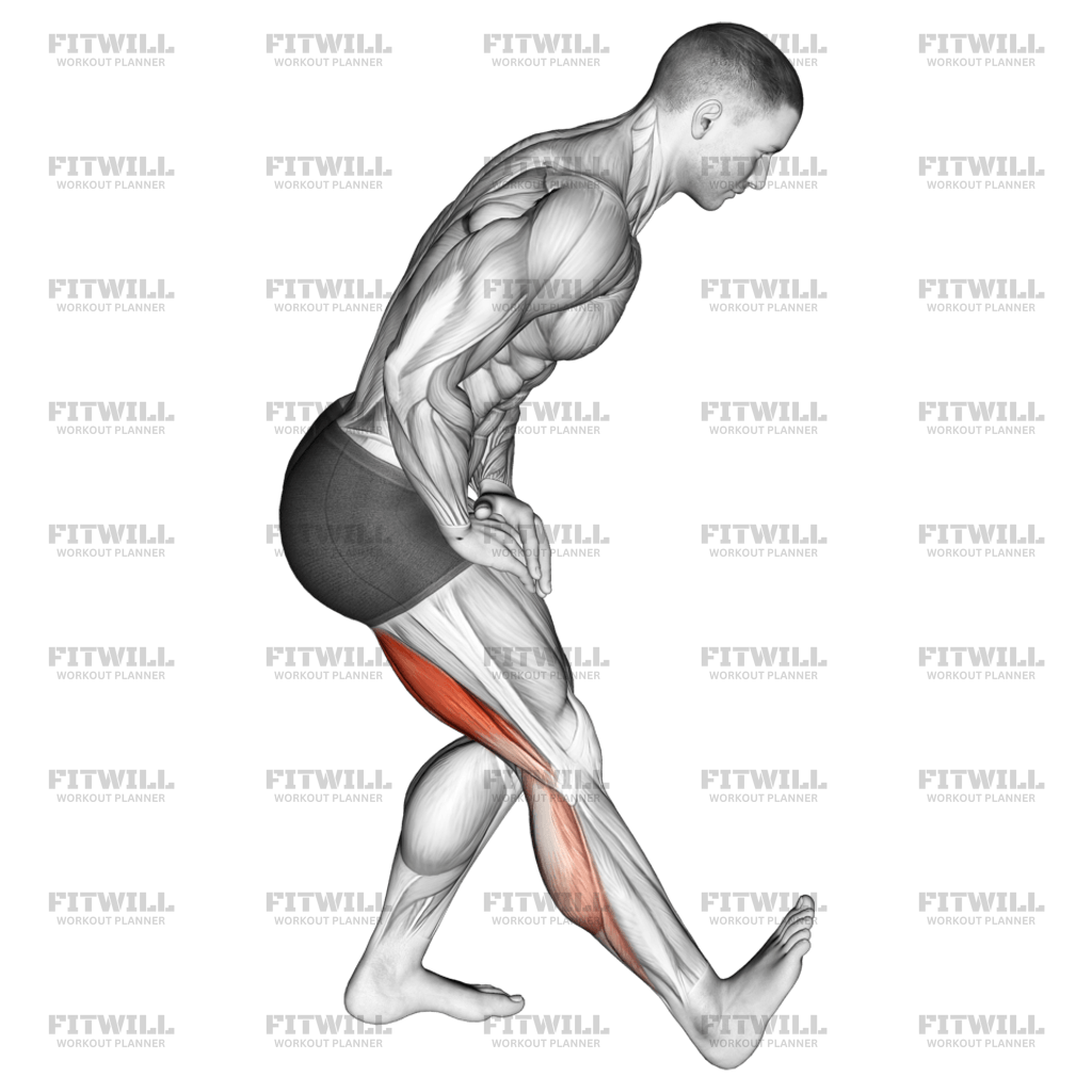 Standing Toe Up Hamstring Stretch: Exercise Guide, Techniques, Benefits ...