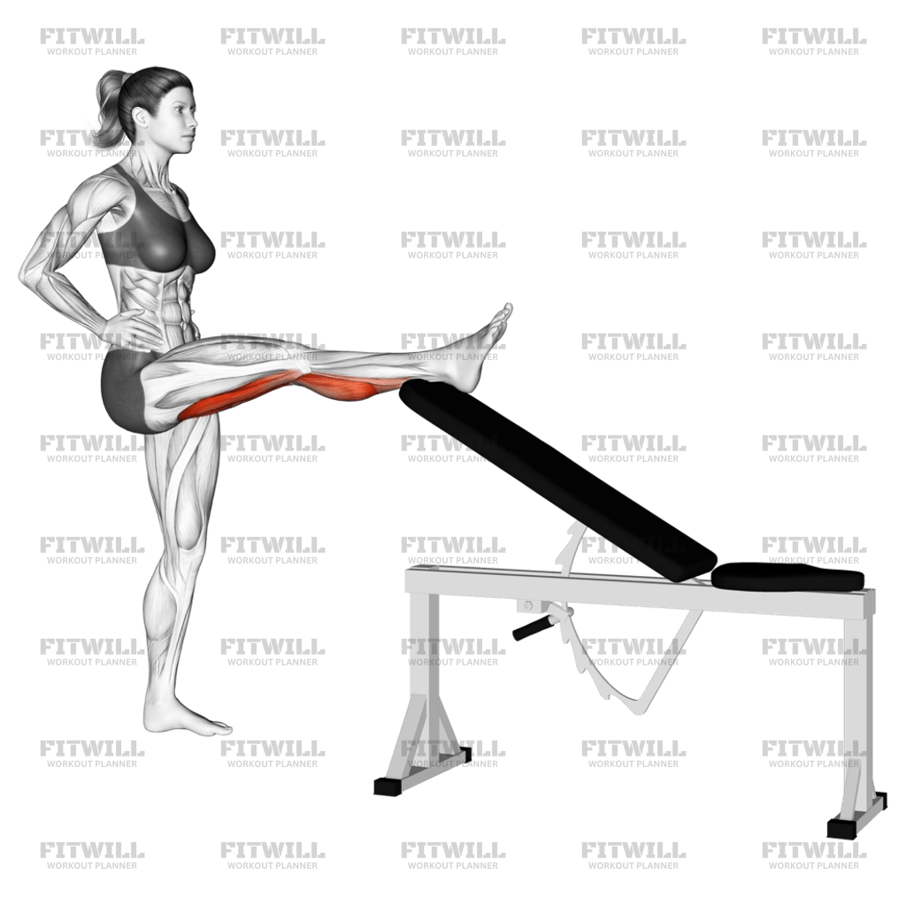 Standing Leg Up Hamstring Stretch: Guide, Techniques, Benefits, How to ...