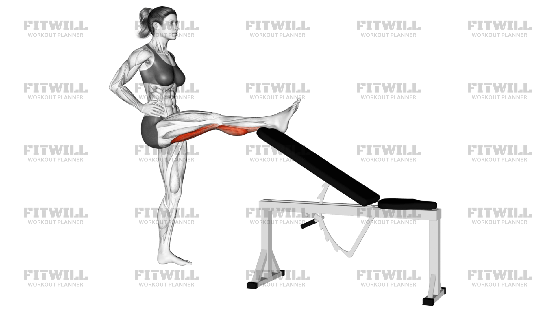 Standing Leg Up Hamstring Stretch Guide Techniques Benefits How To Muscles Worked Tips