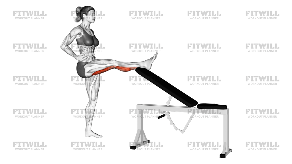 Standing Leg Up Hamstring Stretch: Guide, Techniques, Benefits, How to ...