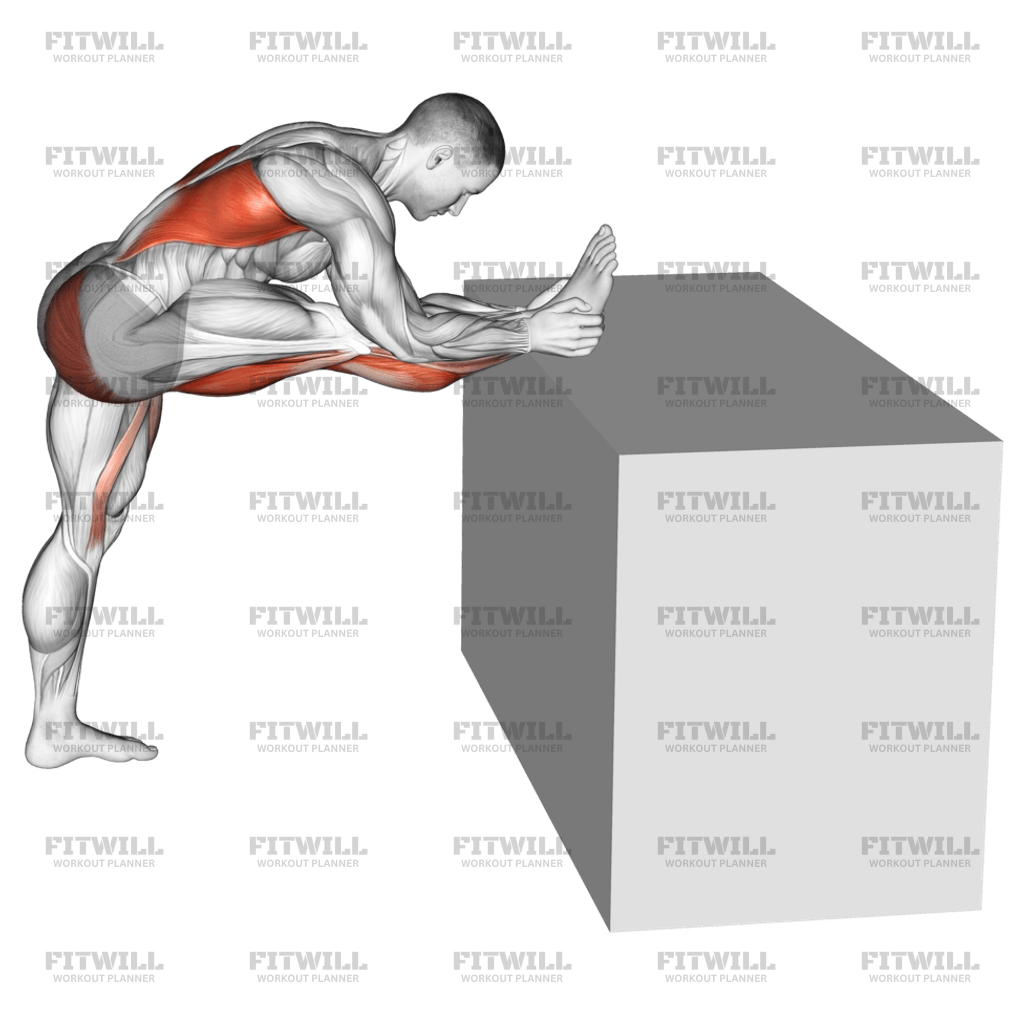 Raised Leg Knee Flexor Stretch: Exercise Guide, Techniques, Benefits ...