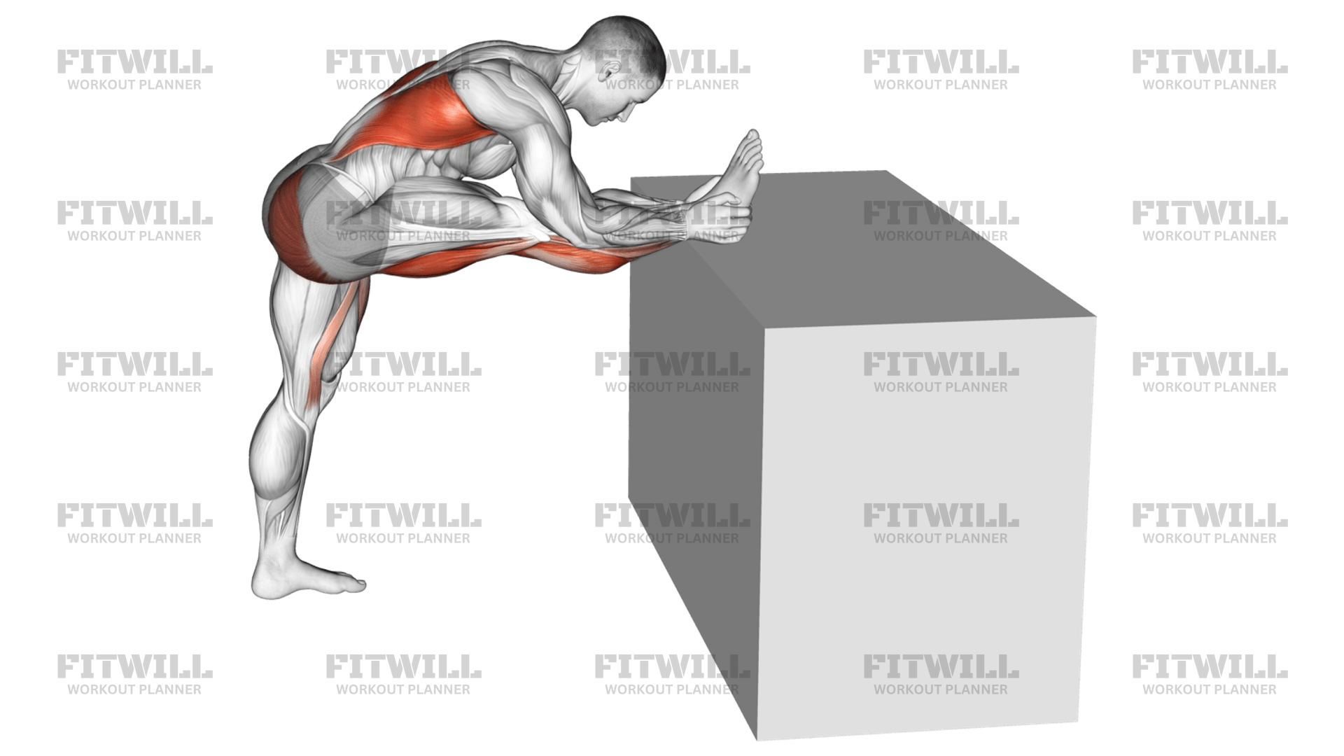 Raised Leg Knee Flexor Stretch: Exercise Guide, Techniques, Benefits ...