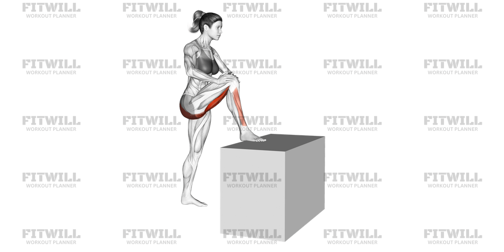How to do Standing High Leg Bent Knee Hamstring Stretch: Techniques ...