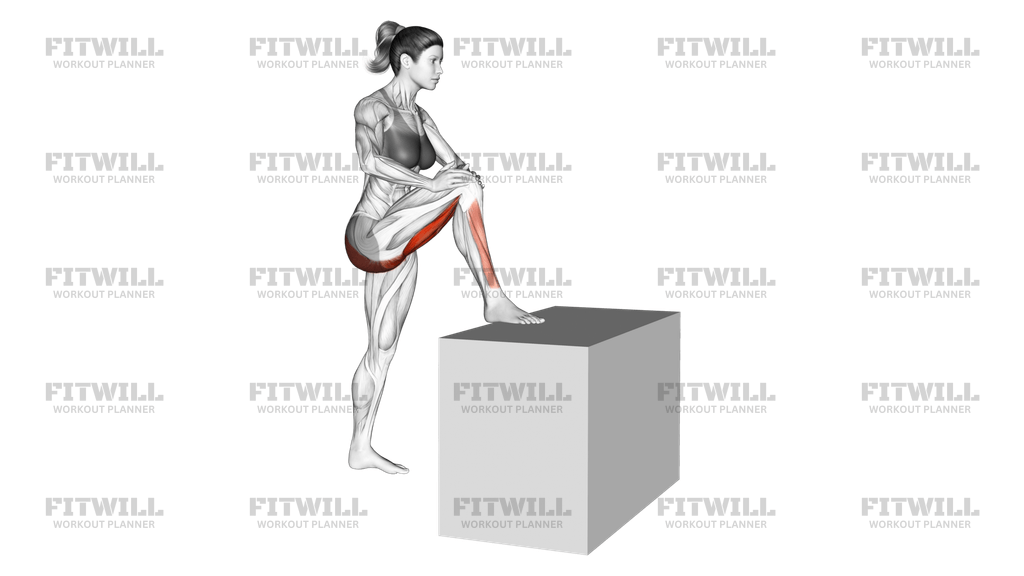 How to do Standing High Leg Bent Knee Hamstring Stretch: Techniques ...