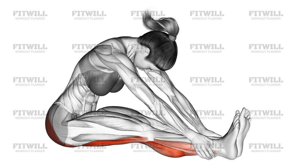 Seated Knee Flexor Stretch: Exercise Guide, Techniques, Benefits, How ...