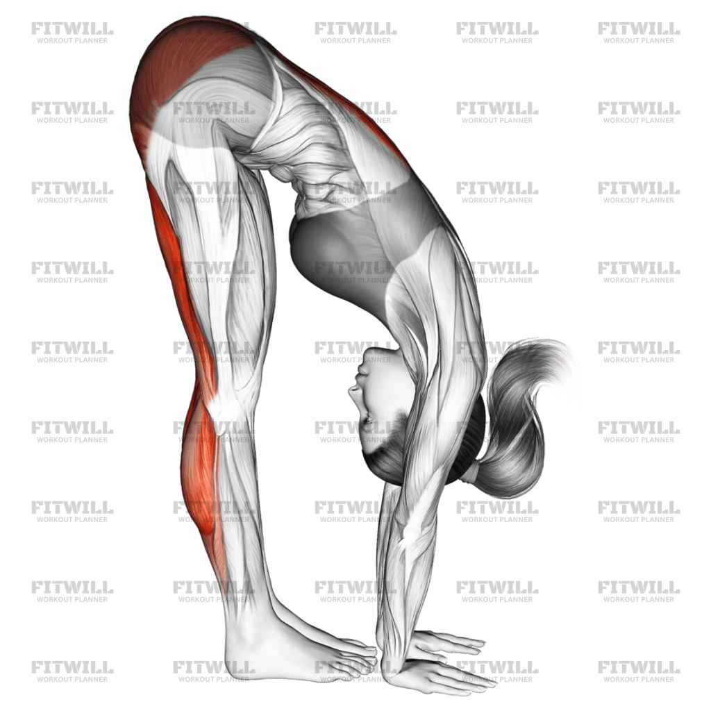 Standing Reach Down Hamstring Stretch: Exercise Guide, Techniques ...
