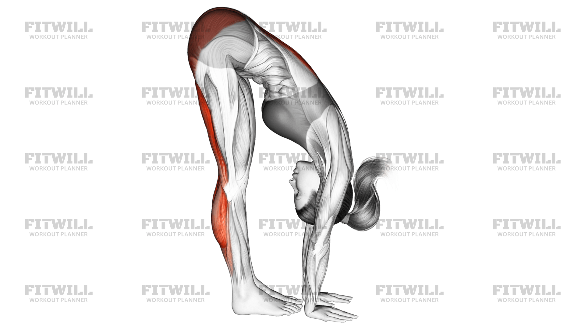 Standing Reach Down Hamstring Stretch: Exercise Guide, Techniques ...