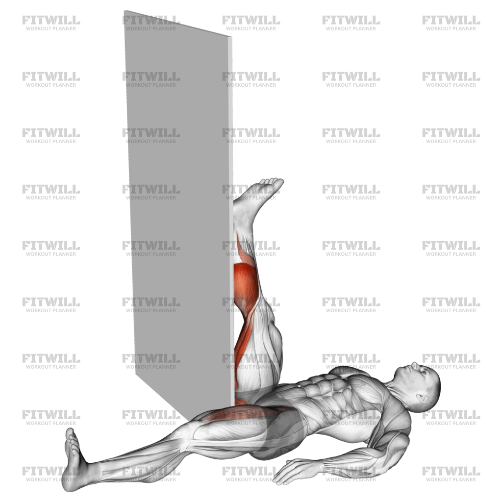 Recumbent Knee Flexor Stretch: Exercise Guide, Techniques, Benefits ...